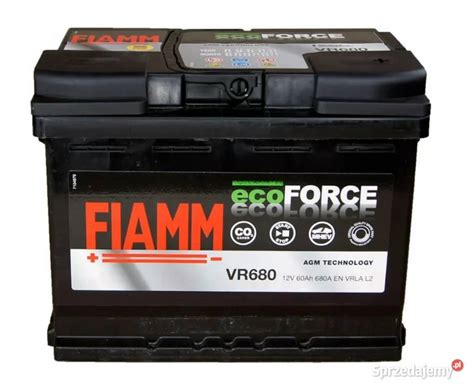 Akumulator 60AH Fiamm ECOFORCE AGM Biała Podlaska - Sprzedajemy.pl