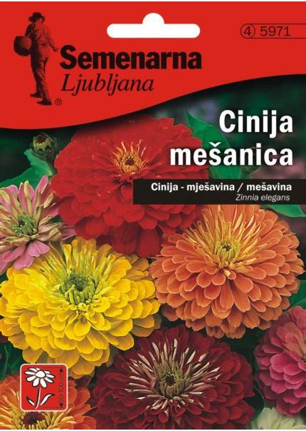 Baštensko Cveće Lepi čovek Mešavina Zinnia Elegans 5971 Cena Prodaja