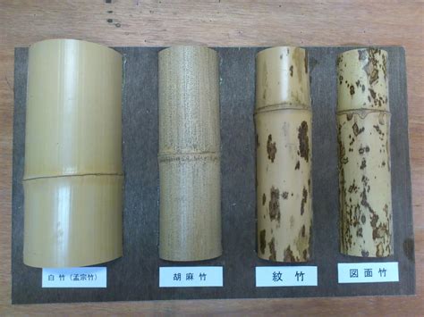 竹の種類竹垣のいろいろ 建仁寺垣竹垣の専門店 長岡銘竹