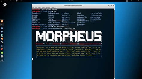 Kali Linux Tutorial Morpheus Buffer Overflow Youtube