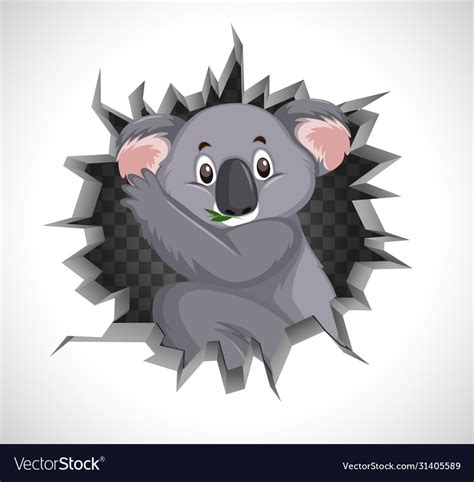 Cute Koala Coming Out Cracked Wall Royalty Free Vector Image