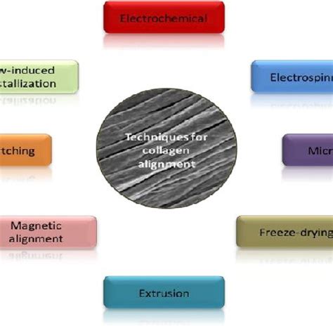 Freeze Drying Process 5 1 A Schematics Of Freeze Drying Principle