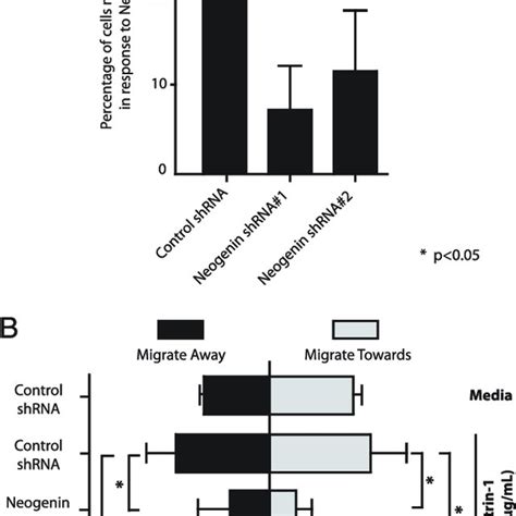 Netrin 1 Receptor Expression By Human Cd4 T Lymphocytes The