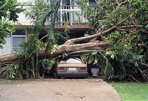 When A Tree Falls On Your House Or Property Urban Forest Professionals