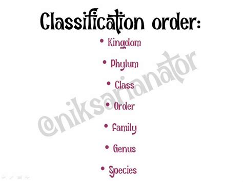Pptx Igcse Biology Classification Of Organism Dokumentips