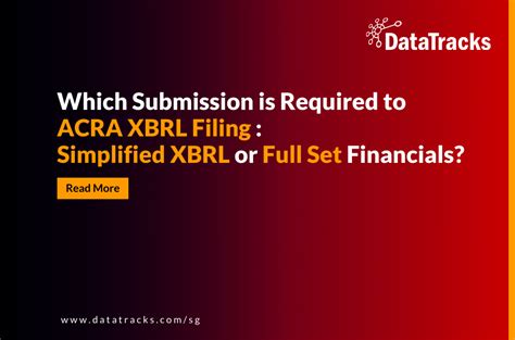 Different Xbrl Format Types For Acra Filing In Singapore