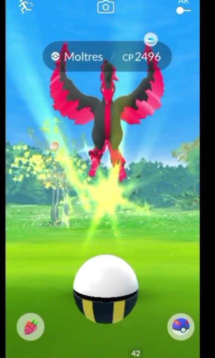 Got A Legendary Glarian Bird Butpokemongo Pokemon Youtube