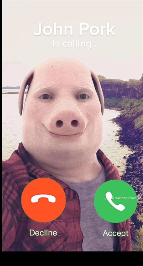 John Pork Is Calling Ryyyy23