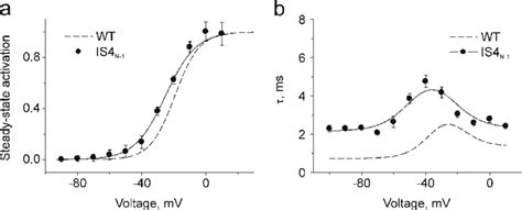 Neutralization Of Charges In Segments Is4 Voltage Dependences Of