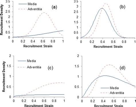 Recruitment Distribution Densities Estimated For Medial And Adventitial