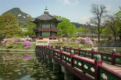 고궁 궁전 서울의 경복궁 Pixabay의 무료 사진