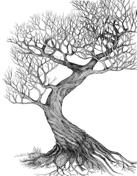 Line Drawing Leaves Twisting Tree By Ellfi On Deviantart Tree Tattoo