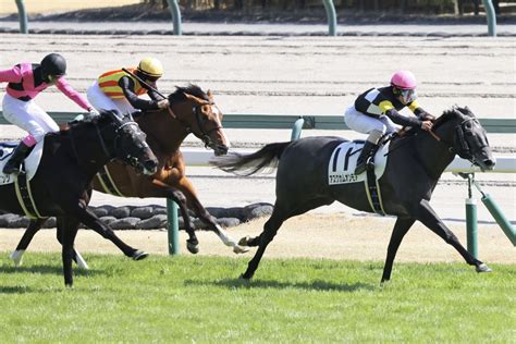 北村友一騎手が騎乗停止、中京5rで注意義務を怠る 競馬ニュースなら競馬のおはなし