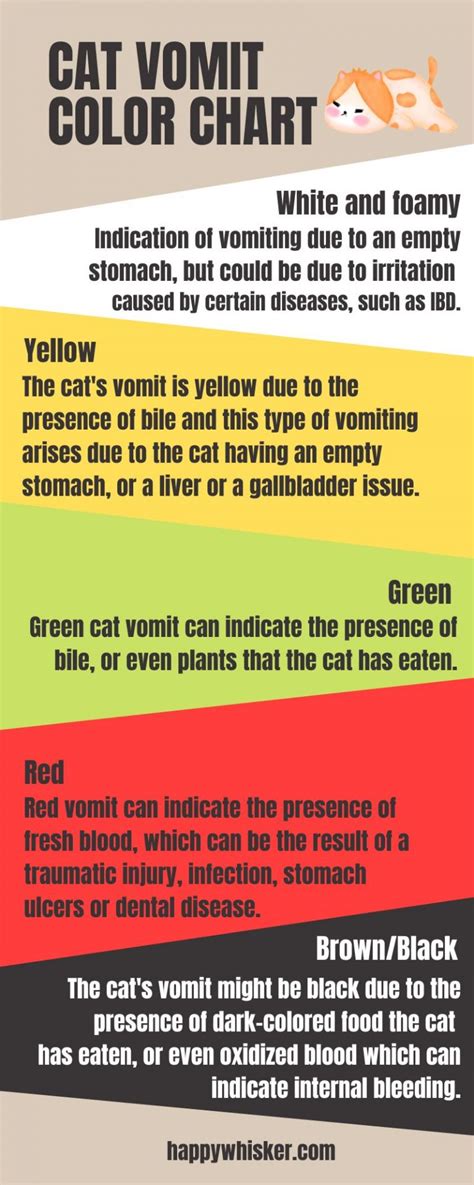 Color Chart Types Of Cat Vomit Pictures Coloring Pages