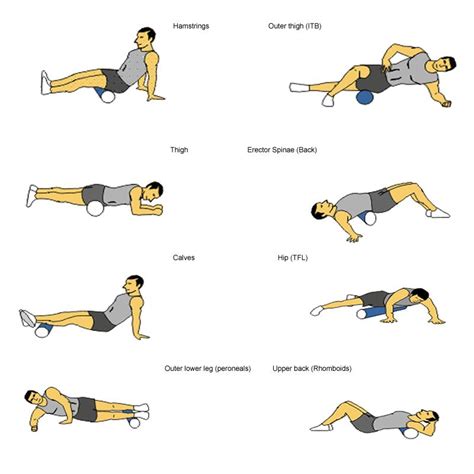 Myofascial Release Wrightstown Health And Fitness