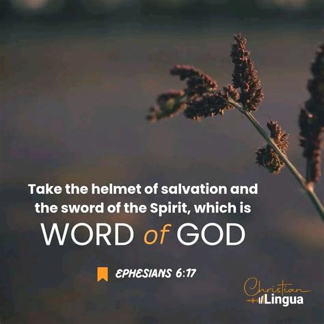 Christian Lingua Translation Agency On Linkedin Christian