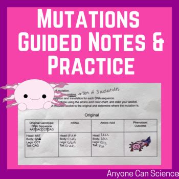 Protein Synthesis DNA Mutations Notes By Anyone Can Science TPT