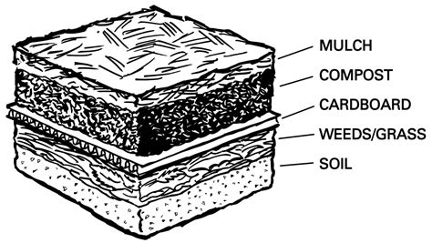 4 Layer Compost And Mulch Lawn To Garden