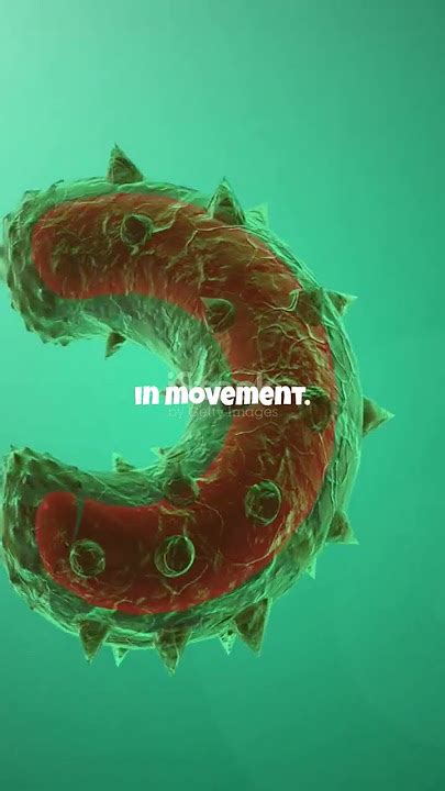 Interesting Facts About Cytoplasm 시네21