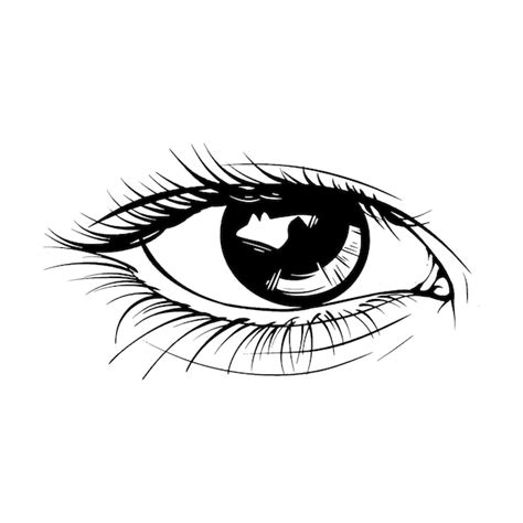 Mooie Hand Getrokken Schets Oog Vector Illustratie Lijntekeningen