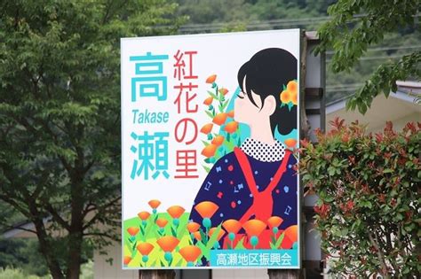 山形市高瀬地区の紅花 すもものモノローグ 楽天ブログ