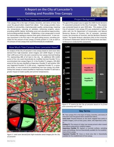 Urban Tree Canopy Assessment Save It