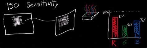 A Simple Guide To Iso What Happens When You Increase Your Camera S Gain