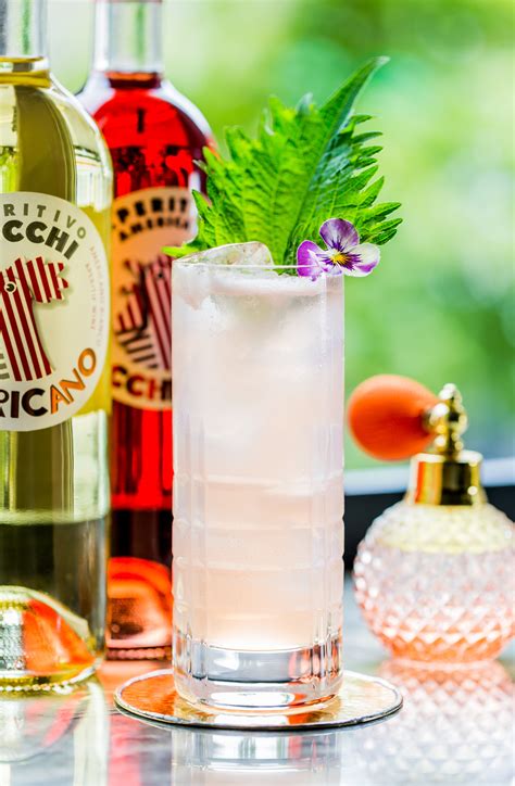 Cocktails Giulio Cocchi