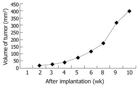 Nude Mice Model Of Human Hepatocellular Carcinoma Via Orthotopic