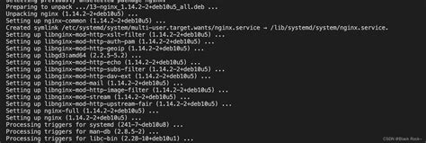 Debian 部署nginx And Debian安装nginx Csdn博客