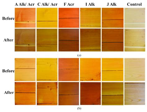 Surface Change Of Selected Tested Samples First And Second Rows Download Scientific Diagram