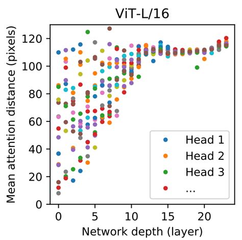 Understanding Vision Transformers Vits Hidden Properties Insights And Robustness Of Their