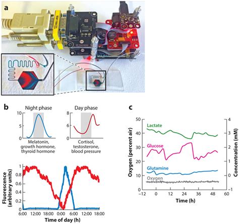 A Computer Controlled Microfluidics Mimicking The Complex Dynamics Of Download Scientific