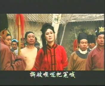 窦娥电视剧 窦娥 14窦娥38集 第3页 大山谷图库