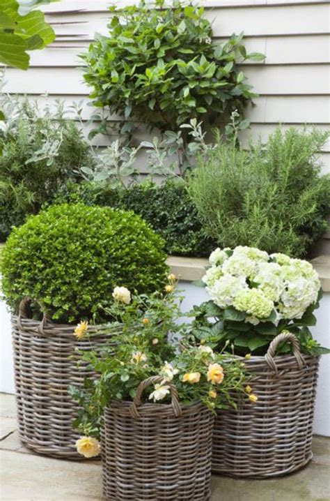 Planter Ideas