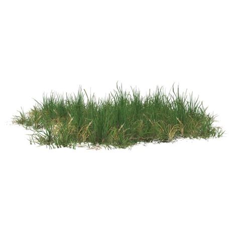 Realistic Game Ready Grass D Model In Grass And Ground Cover DExport