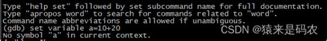 Gdb 里关于变量修改及定义gdb修改变量值 Csdn博客