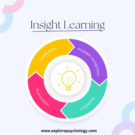 Insight Learning Theory Definition Stages And Examples
