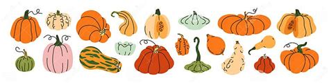 Pumpkins Collection Autumn Vegetable Fall Gourd Various Type Shape