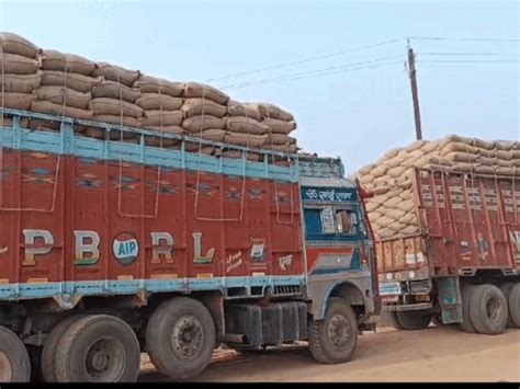 Paddy Disappeared From The Paddy Procurement Center In Rewa त्योंथर में खरीदी केंद्र से धान