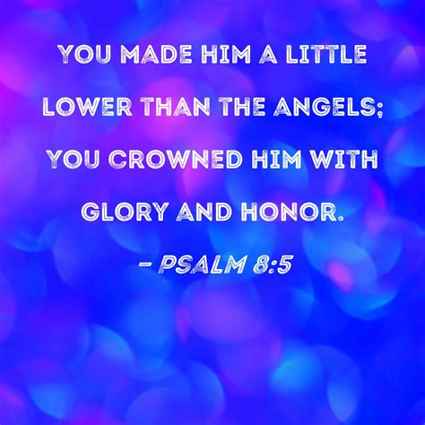 Psalm 8 V 3 5