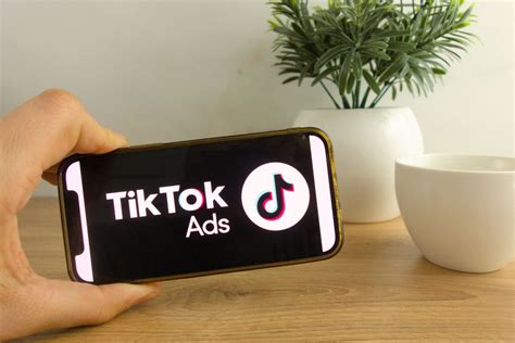 What To Look For In A Tiktok Ads Agency Like Signal Interactive