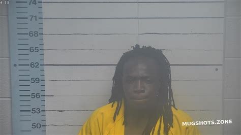 Lewis Bryce Joseph 08 13 2022 Desoto County Mugshots Zone