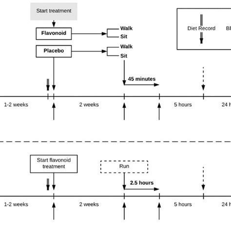 Trial Design Four Group Parallel Design With Healthy Habitual Walkers