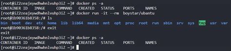 【docker学习】docker run 选项之临时容器的不二之选 rm docker run rm csdn博客