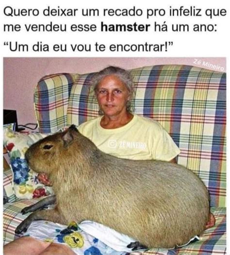 Preá Meme by NecroEdu Memedroid