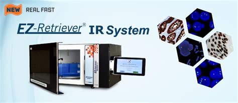 Biogenex On Linkedin Ffpe Epitopes Biogenex