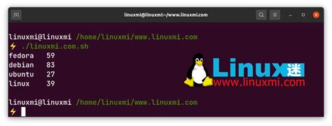 每个程序员都应知道的 5 个 Bash 编码技巧 Linux迷