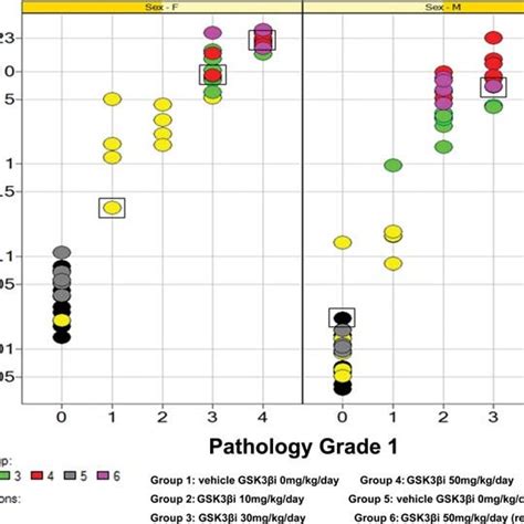 —plot Showing Relationship Between Log Transformed Image Analysis Data