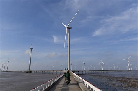 Temporary Halt On Appraisal Approval For Offshore Wind Power Project